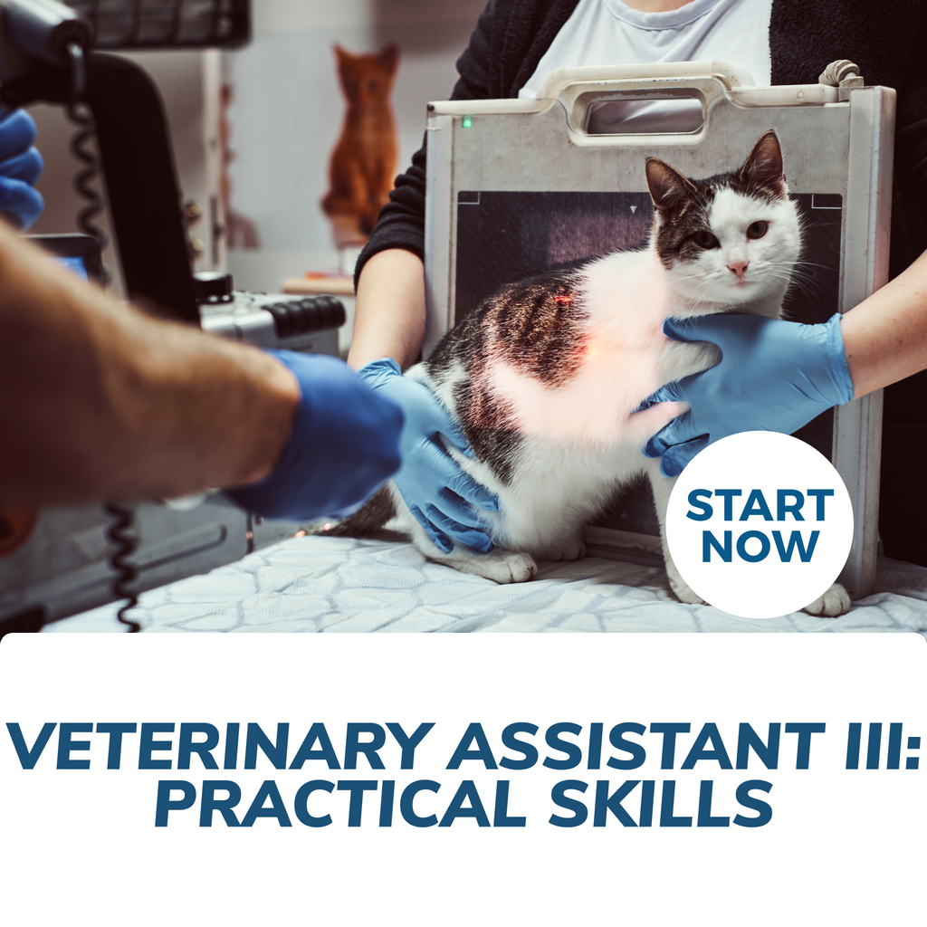 Veterinary Courses — Courses For Success