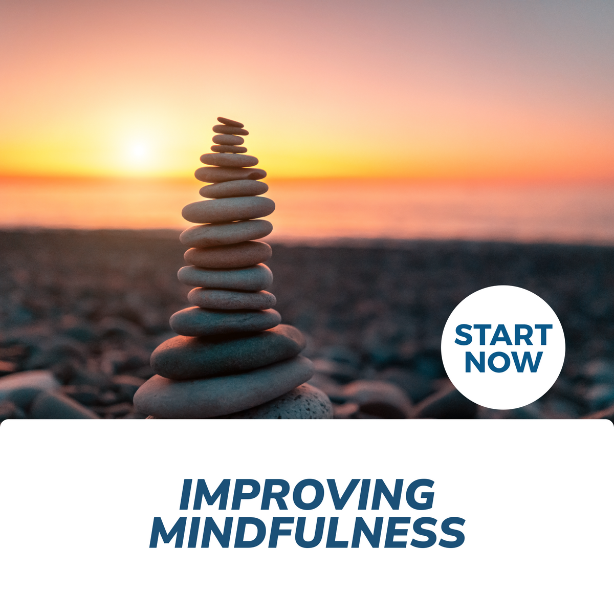 Mindfulness Training & Certification Online — Courses For Success