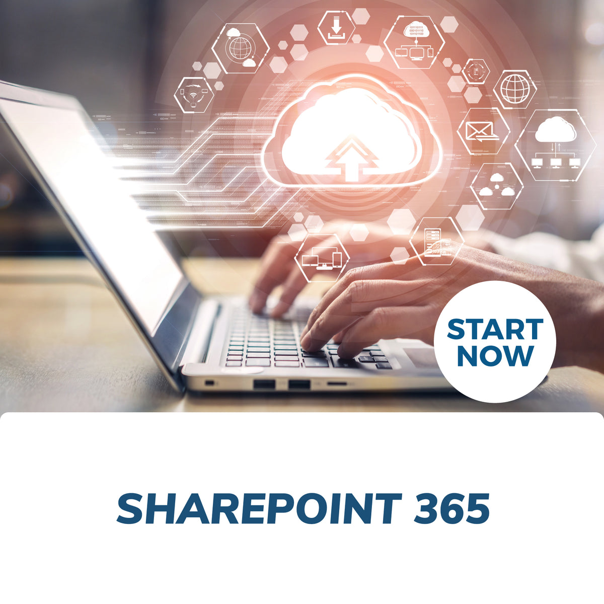 SharePoint Training & Certification 365 Online — Courses For Success