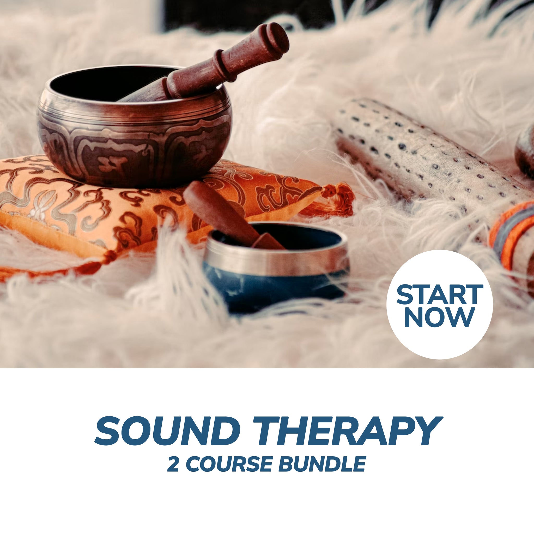 Therapy Courses — Courses For Success